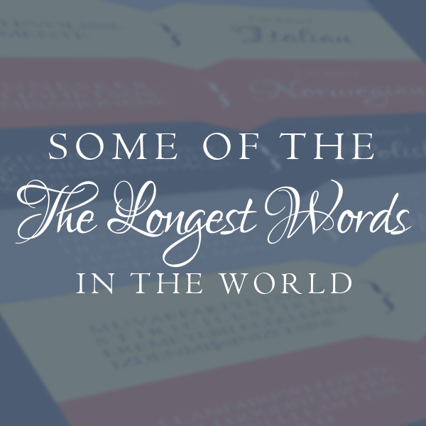 INFOGRAPHIC Some Of The Longest Words In The World infographic-some-of-the-longest-words-in-the-world